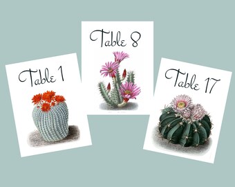 Cactus table number holders set 5 Cactus wedding table decor
