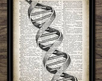 Dna double helix art | Etsy