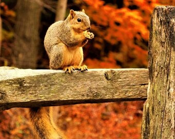 Fall window cling | Etsy