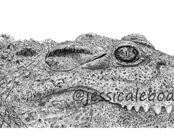 Crocodile drawing | Etsy