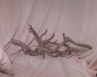 Tree root decor | Etsy