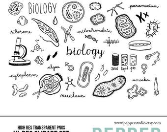 Science doodle | Etsy