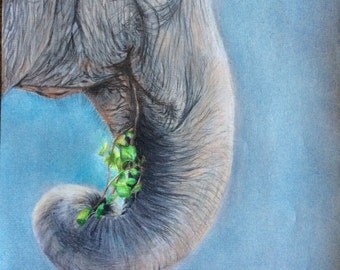 Conservation art | Etsy