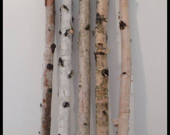 Birch poles | Etsy