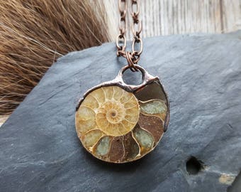 Ammonite | Etsy