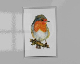 Robin red breast | Etsy