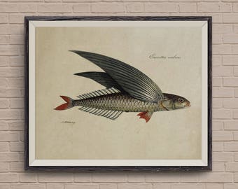Flying fish print | Etsy