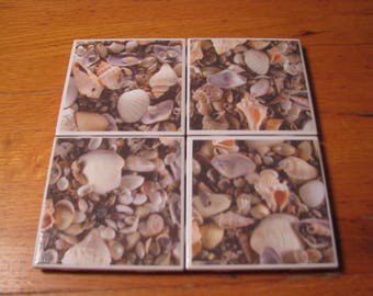 Sea shell tiles | Etsy