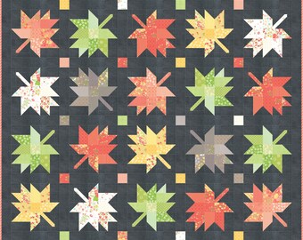 Backroads PDF Quilt Pattern 114