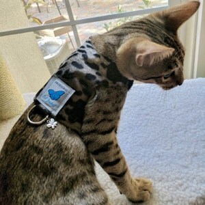 Butterfly Cat Jackets Walking Harness by ButterflyCatJackets