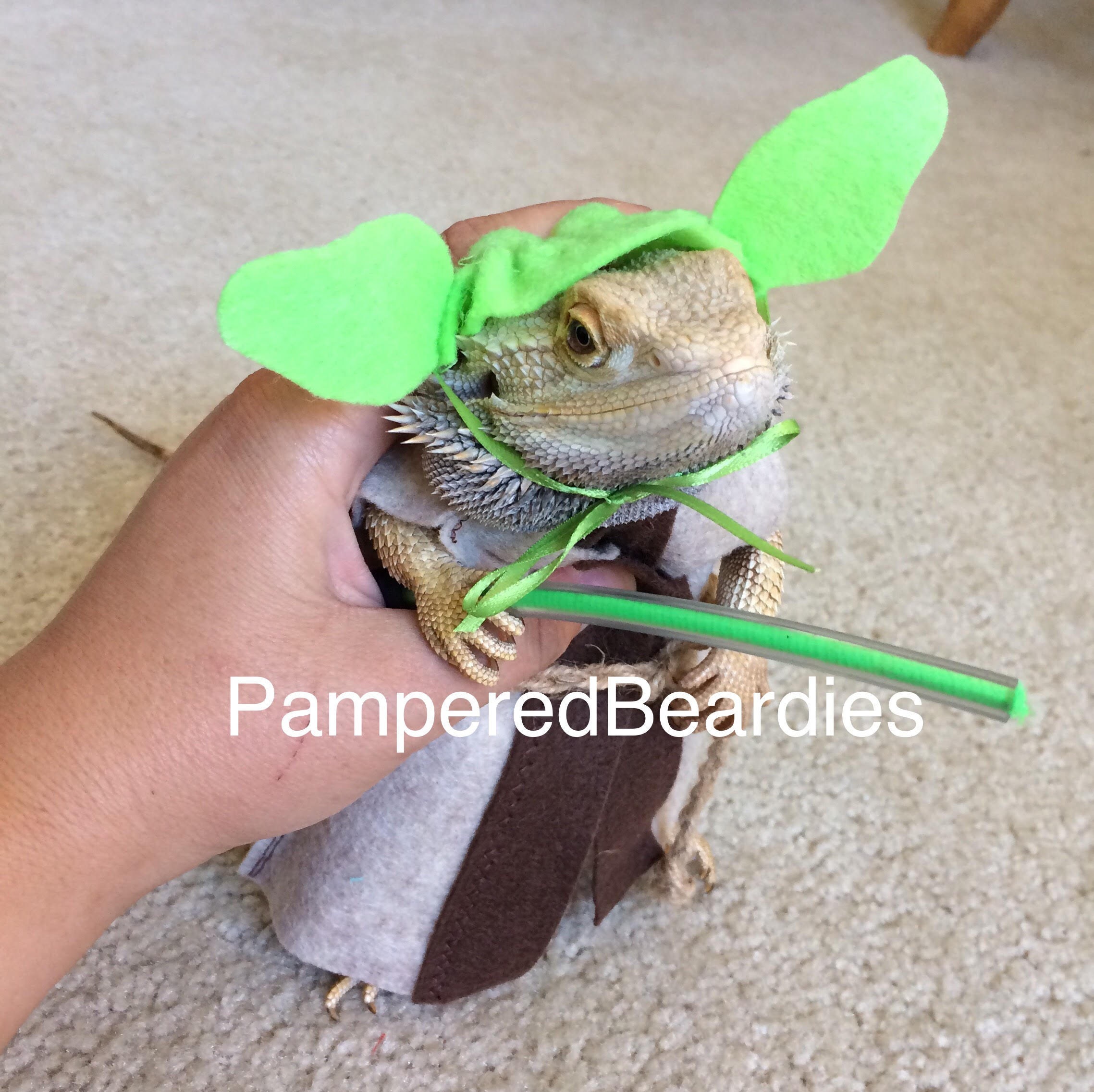 Yoda Costume for Bearded Dragon with Plastic Lightsaber Now