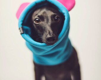 Italian greyhound clothing | Etsy