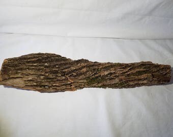 Tree bark crafts | Etsy