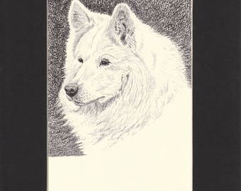 Samoyed drawing | Etsy