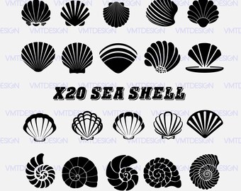 Shell svg | Etsy