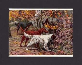 English setter print | Etsy