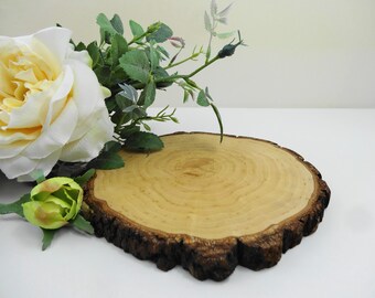 Tree trunk slices | Etsy