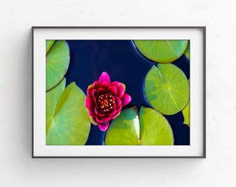 Lotus flower print | Etsy