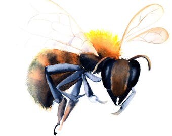 Bee painting | Etsy