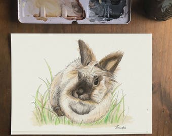 Custom pet drawing | Etsy