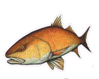 Florida Redfish Sticker Decal