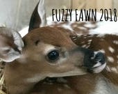 Fuzzy Fawn Wildlife Rescue Shop by FuzzyFawnShop on Etsy