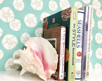 Beach Decor for the Home Weddings and Events by SeashellCollection