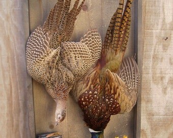 Taxidermy pheasant | Etsy