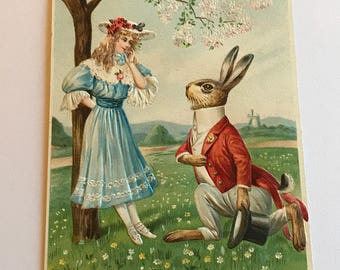 Rabbit postcard | Etsy