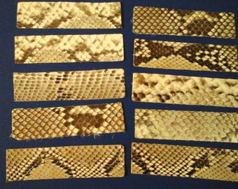 Awesome Royal White Ball Python Snake Python