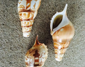 Carved conch shell | Etsy