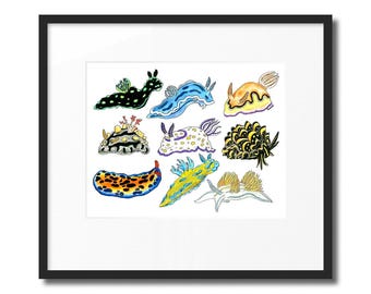 Nudibranch | Etsy