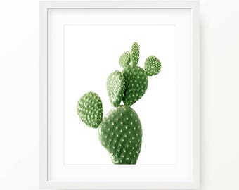 Cactus print | Etsy