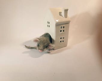 Bring A Mouse In The House Clip Art