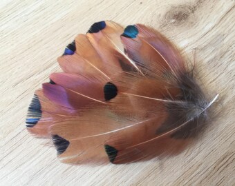 Brown feathers | Etsy