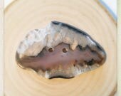 Wood burned stone fossil sea glass exotic by ASheepintheWoods