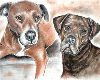 Custom pet drawing | Etsy