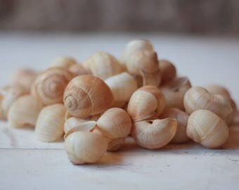 Snail shells | Etsy