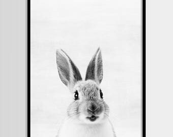 Rabbit print | Etsy