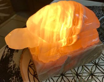 Turtle lamp | Etsy