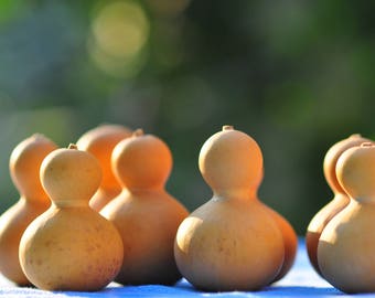 Calebasse séchée | Etsy