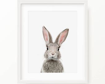 Rabbit print | Etsy