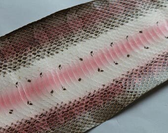 Pink snake skin | Etsy