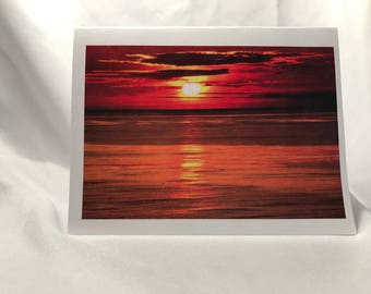 Sunflowers at Sunset Greeting Card