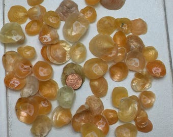 Jingle shells | Etsy