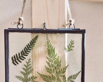 Fern Wall Decal Large Leaf Decals Vinyl Wall Decal Leaves