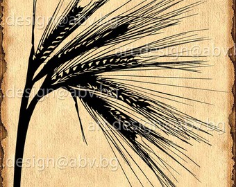 Wheat svg | Etsy