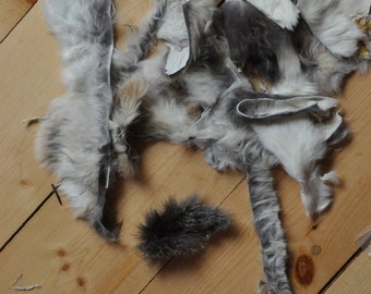 Rabbit fur | Etsy