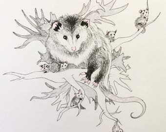 Opossum drawing | Etsy