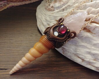 Seashell collection | Etsy